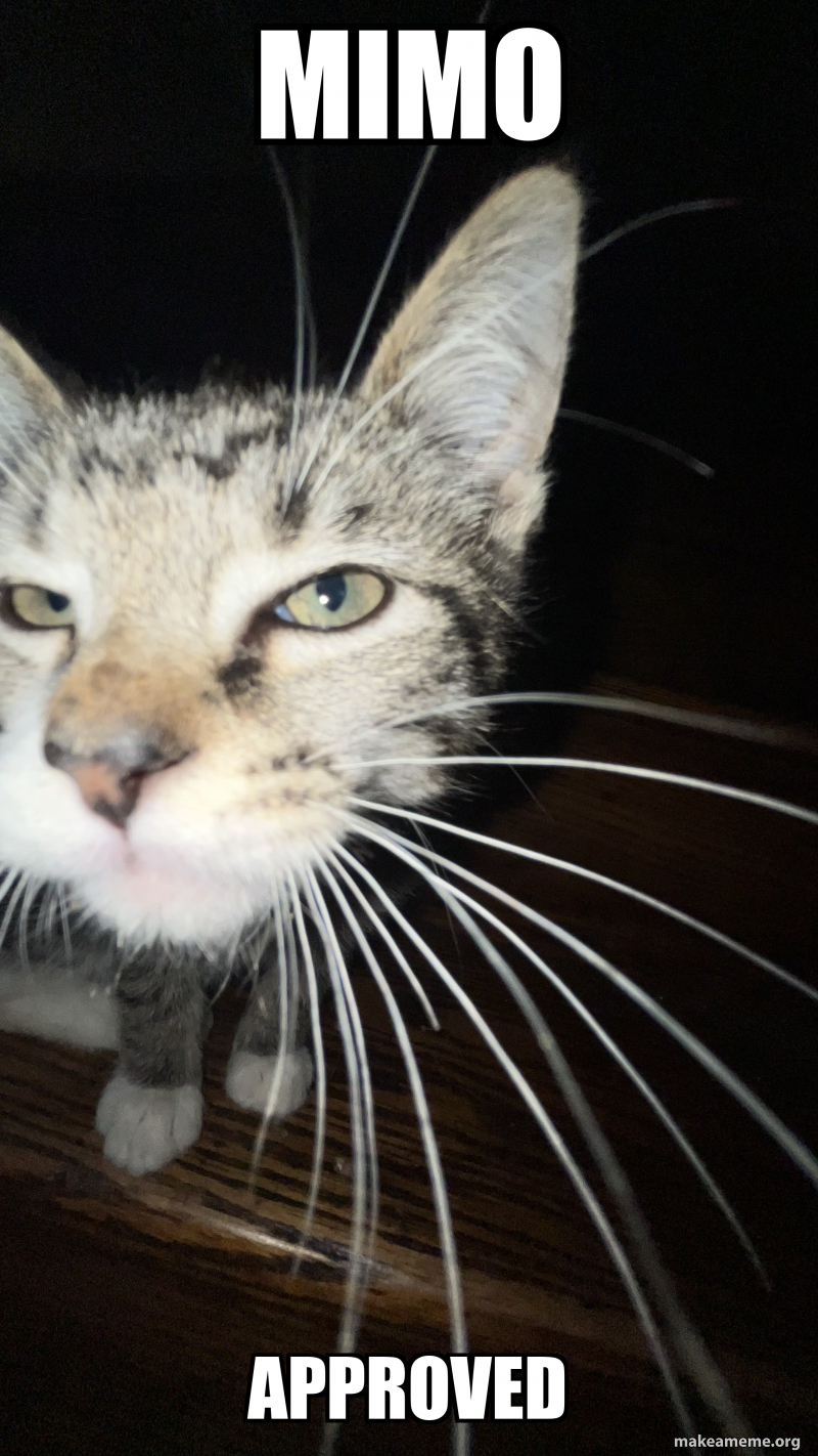 Mimo Approved Meme Generator