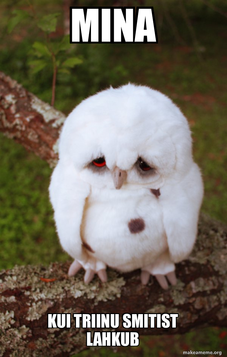 MINA KUI TRIINU SMITIST LAHKUB - Sad Owl Meme Generator