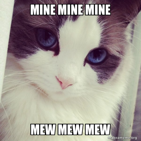 MINE MINE MINE MEW MEW MEW - Ridiculously Photogenic Cat Meme Generator