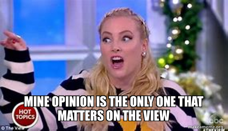 Mine opinion is the only one that matters on the view Meme Generator