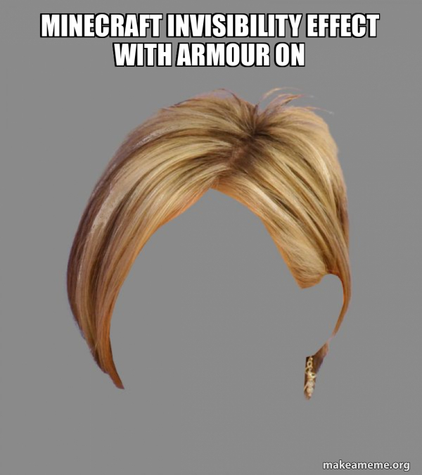 Minecraft Invisibility Effect With Armour on - The Karen Hair Meme ...