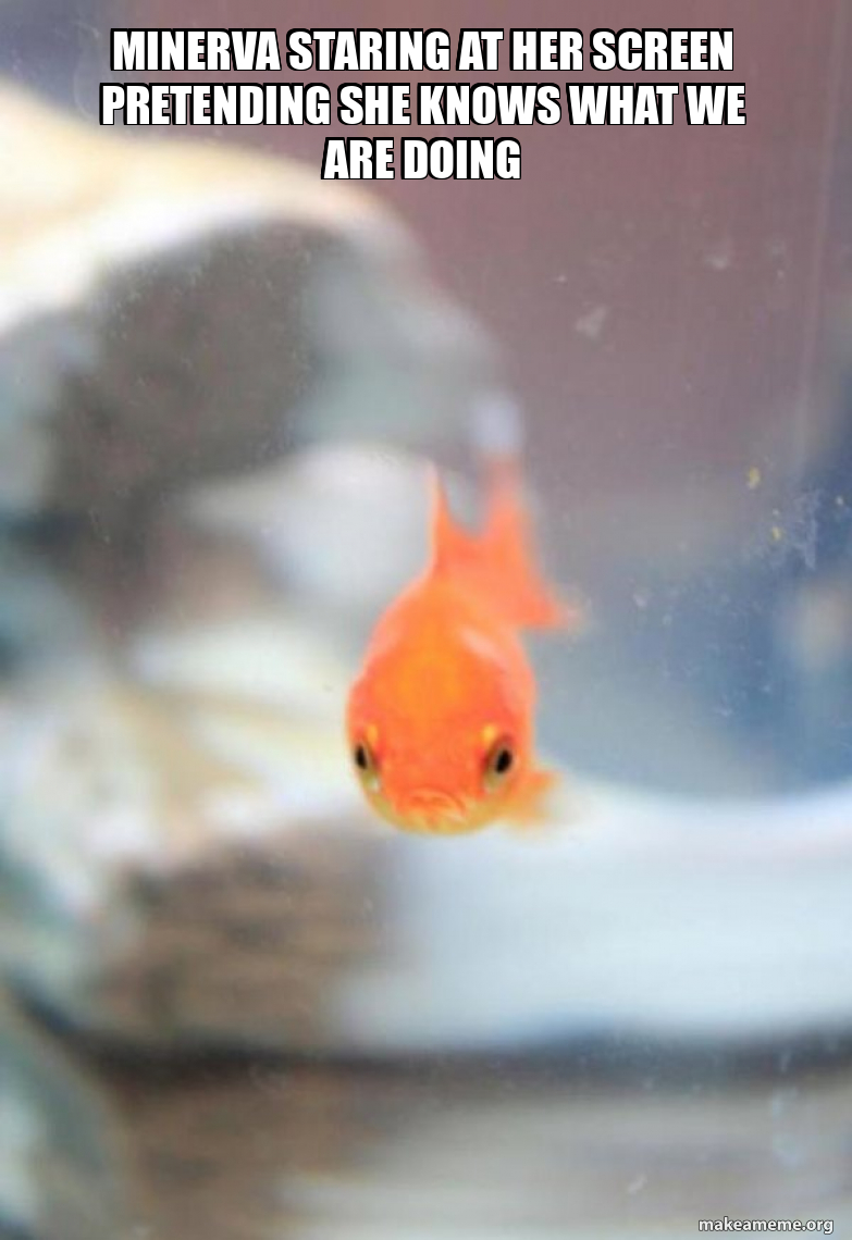 Minerva staring at her screen pretending she knows what we are doing ...
