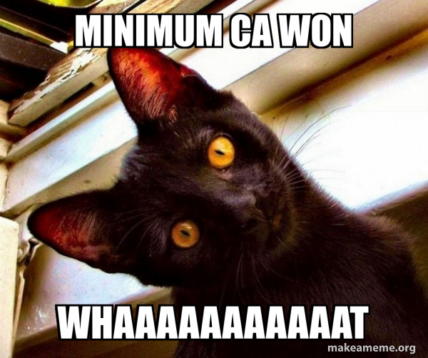 minimum ca won WHAAAAAAAAAAAT - Overly Attached Cat Meme Generator