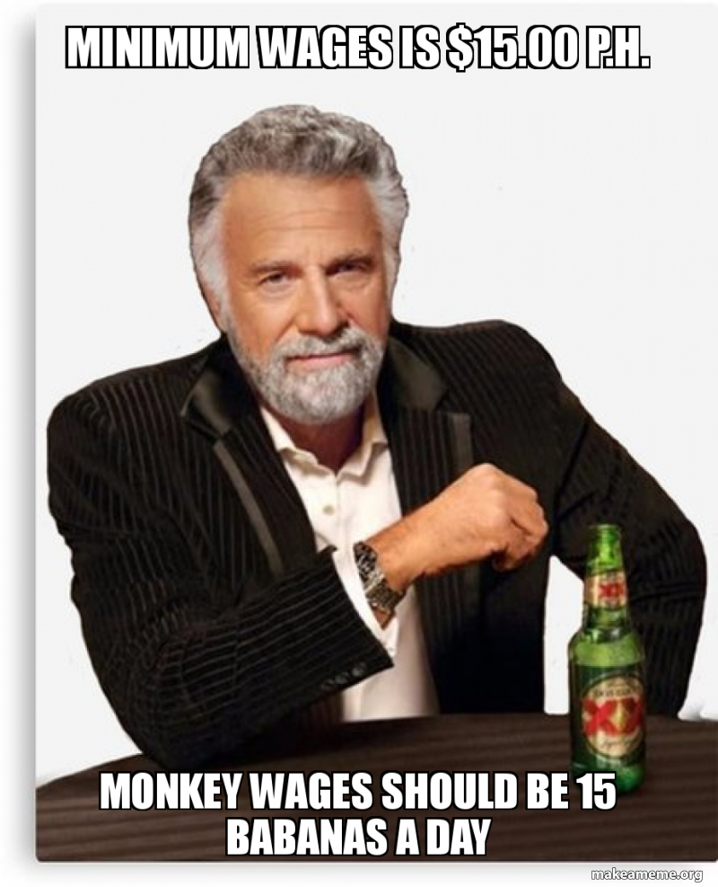 minimum wages is $15.00 p.h. Monkey wages should be 15 babanas a day Meme Generator