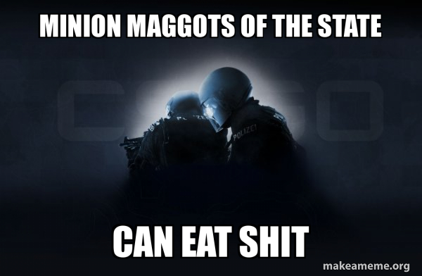 minion maggots of the state can eat shit - Counter-Strike (CSGO) Meme ...
