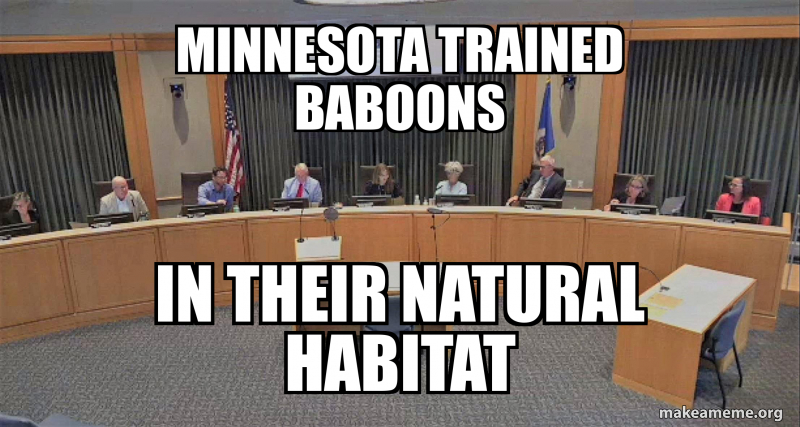 minnesota trained baboons in their natural habitat Meme Generator