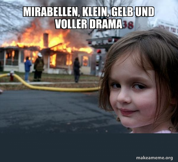 Mirabellen, klein, gelb und voller Drama - Disaster Girl Meme Generator