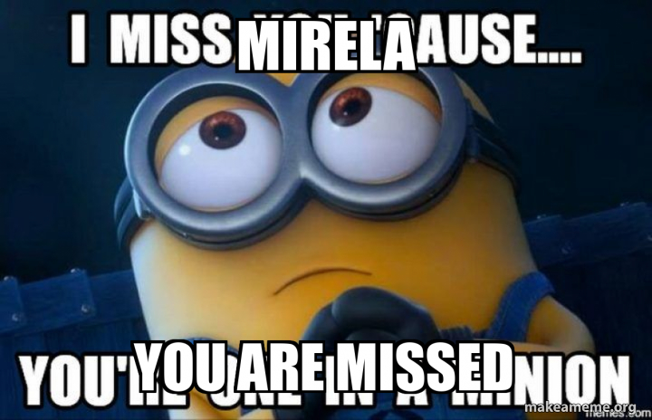 Mirela You are missed Meme Generator