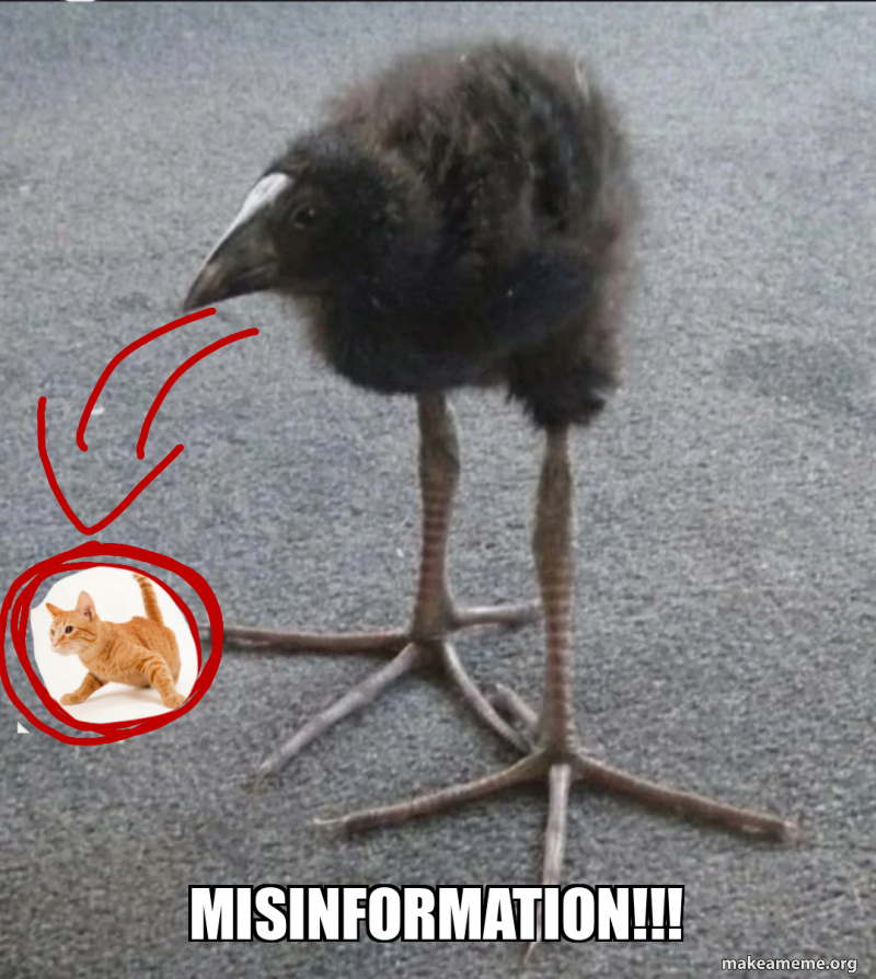 MISINFORMATION!!! Meme Generator