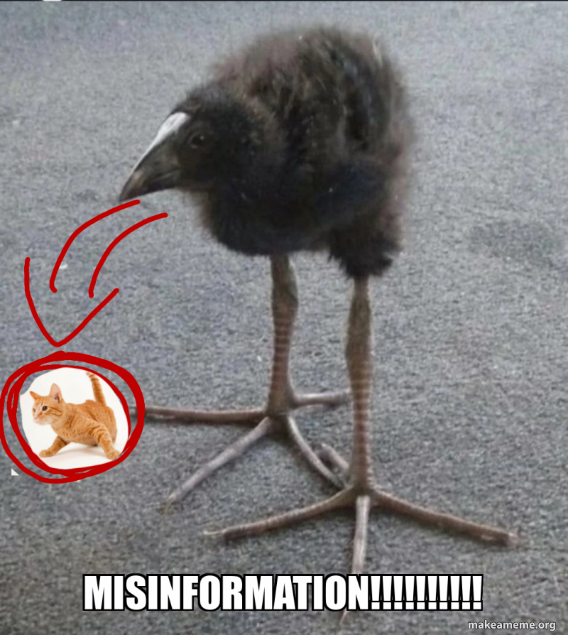MISINFORMATION!!!!!!!!!! Meme Generator