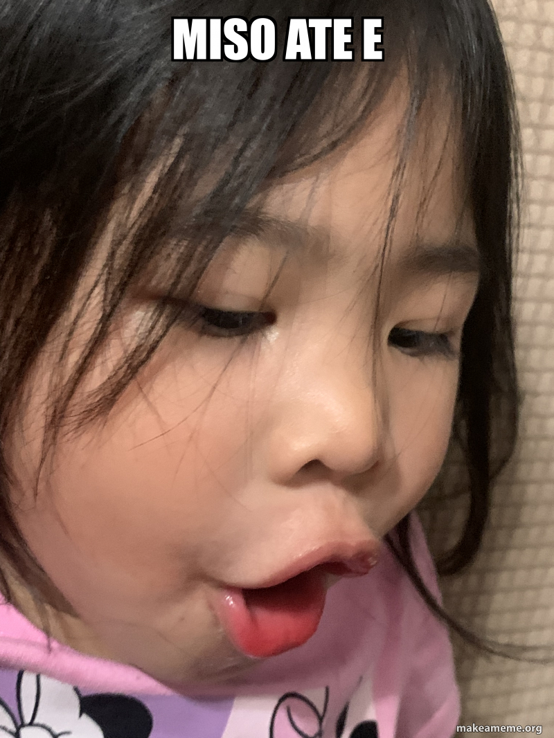 Miso ate e Meme Generator
