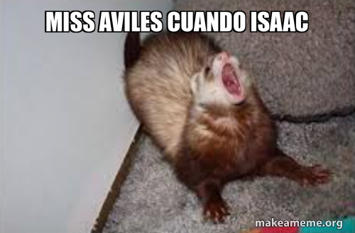 miss aviles cuando isaac Meme Generator