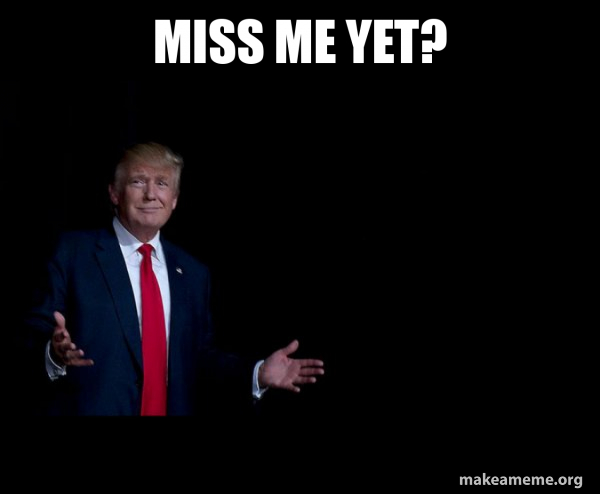 Miss me yet? - Trump Everything is FIne Meme Generator