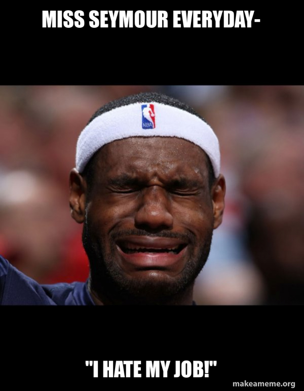 Miss Seymour everyday- "I hate my job!" - Lebron Crying Meme Generator