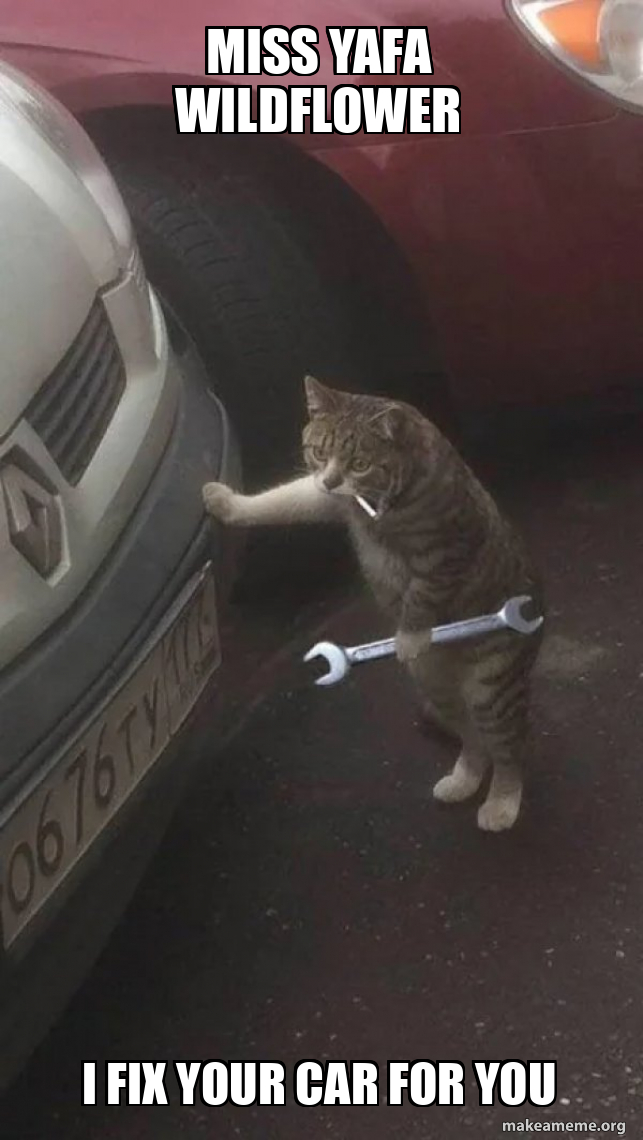 Miss Yafa WildFlower I fix your car for you - Mechanic Cat Meme Generator
