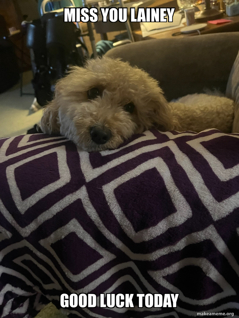 Miss you Lainey Good luck today Meme Generator