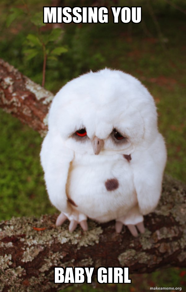 MISSING YOU BABY GIRL - Sad Owl Meme Generator