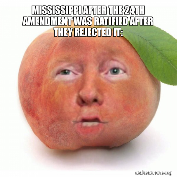 Mississippi after the 24th amendment was ratified after they rejected ...