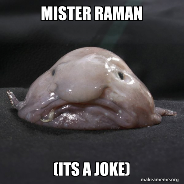 MISTER RAMAN (ITS A JOKE) - Blobfish Meme Generator