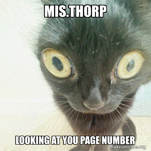 mis.thorp looking at you page number Meme Generator