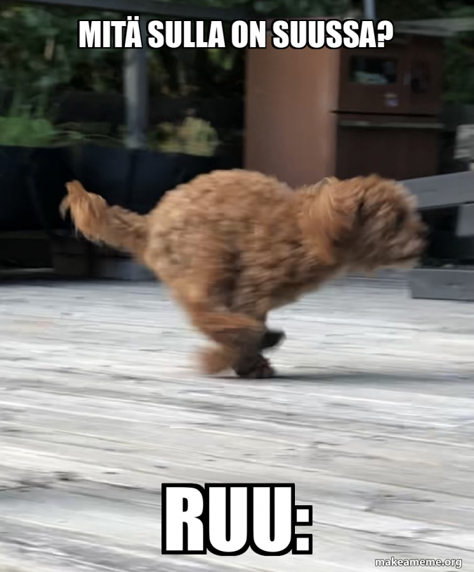 Mitä sulla on suussa? Ruu: Meme Generator