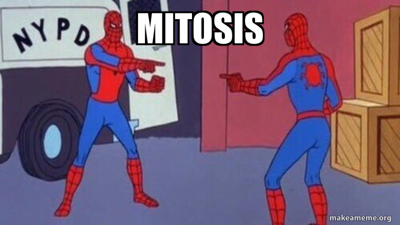 Mitosis Meme Generator