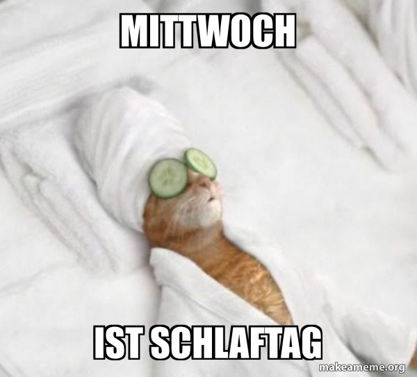 Mittwoch ist Schlaftag - Pampered Cat Meme Meme Generator