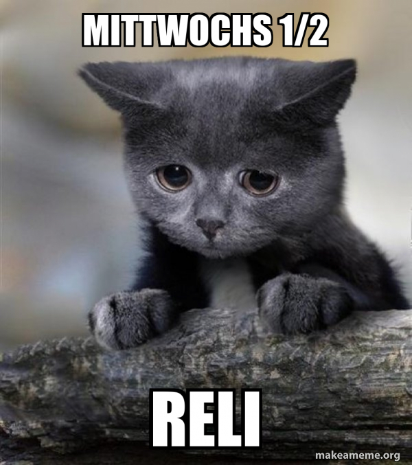 Mittwochs 1/2 Reli - Confession Cat Meme Generator