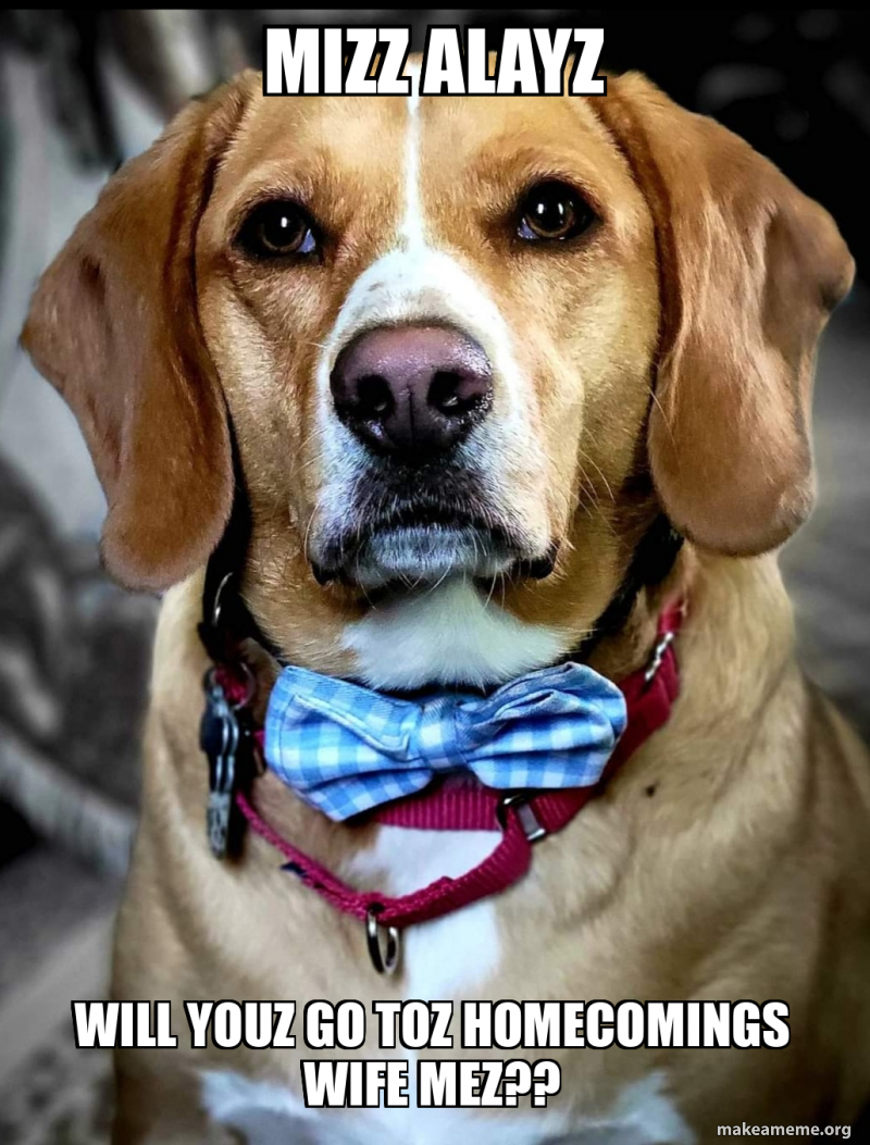 Mizz alayz Will youz go toz homecomings wife mez?? Meme Generator