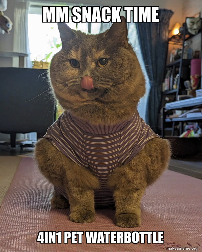 Mm snack time 4in1 pet waterbottle Meme Generator