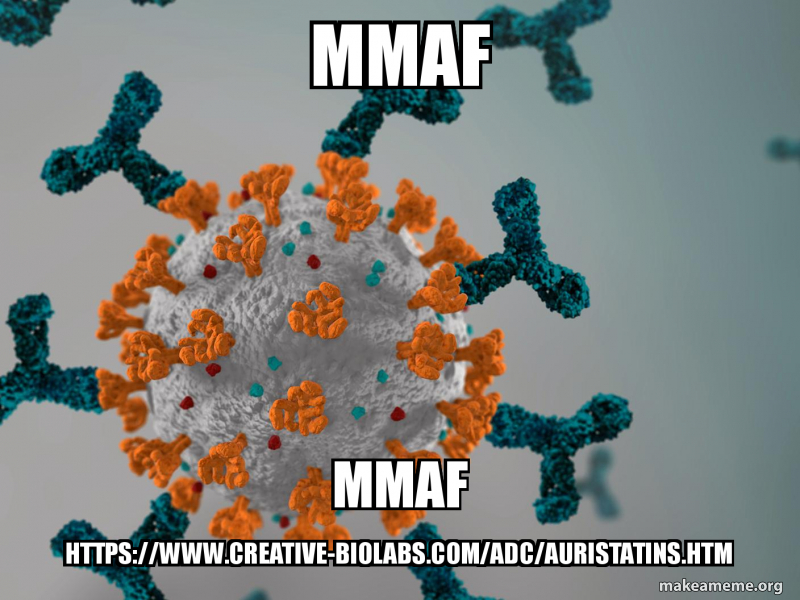 mmaf mmaf https://www.creative-biolabs.com/adc/auristatins.htm - mmaf ...