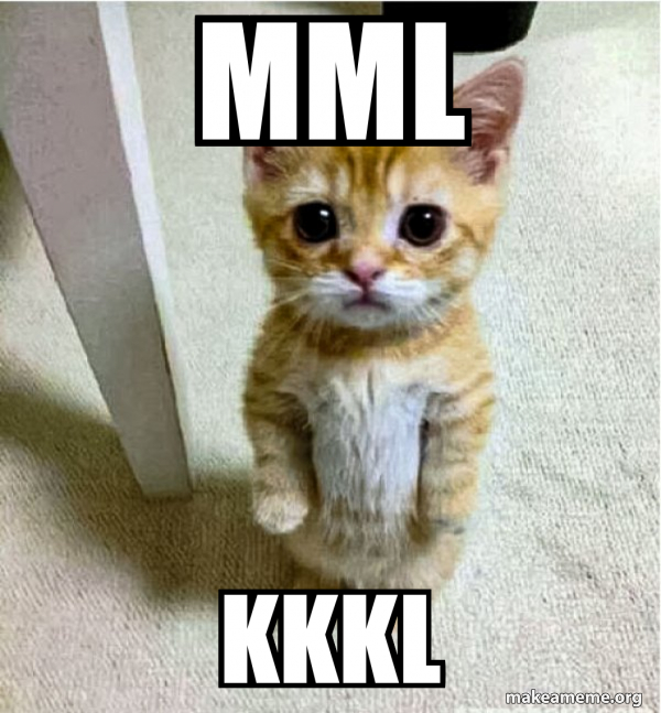 mml kkkl - Cute Cat Standing Meme Generator