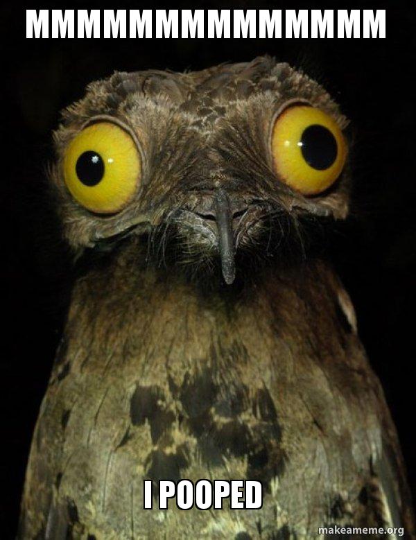 mmmmmmmmmmmmmm I pooped - Weird Stuff I do Potoo Meme Generator