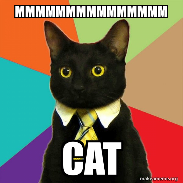 mmmmmmmmmmmmmmm cat - Business Cat Meme Generator