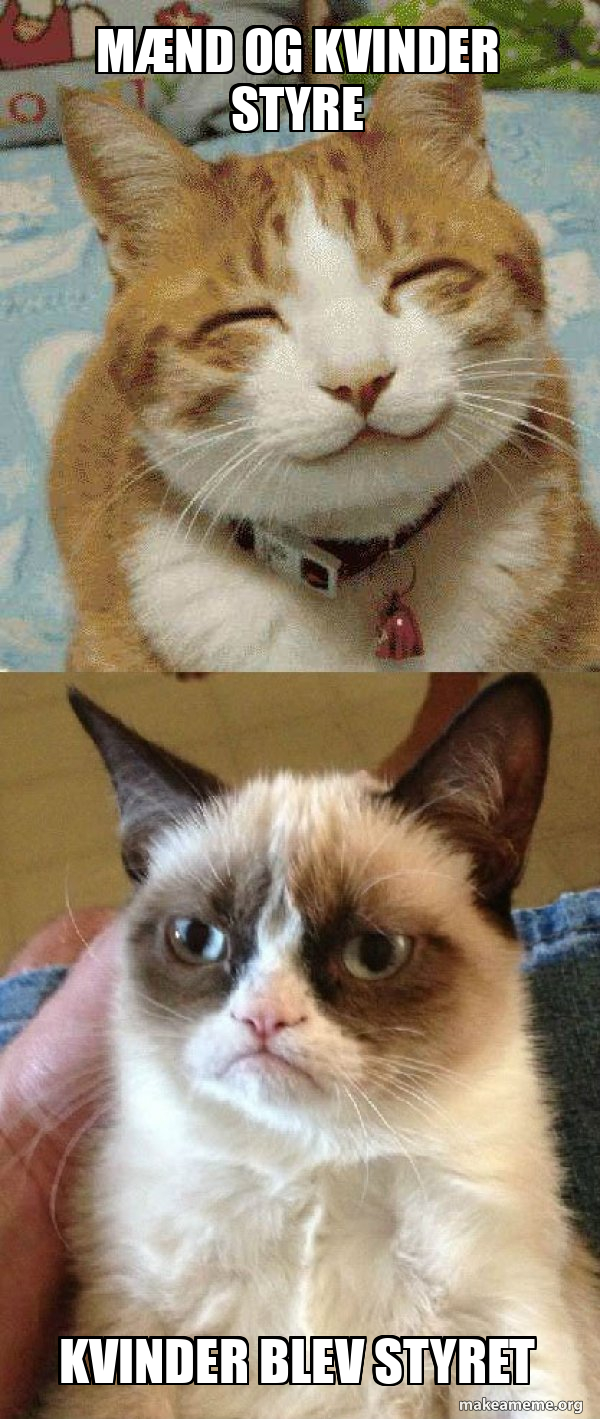 mænd og kvinder styre kvinder blev styret - Grumpy Cat vs Happy Cat ...