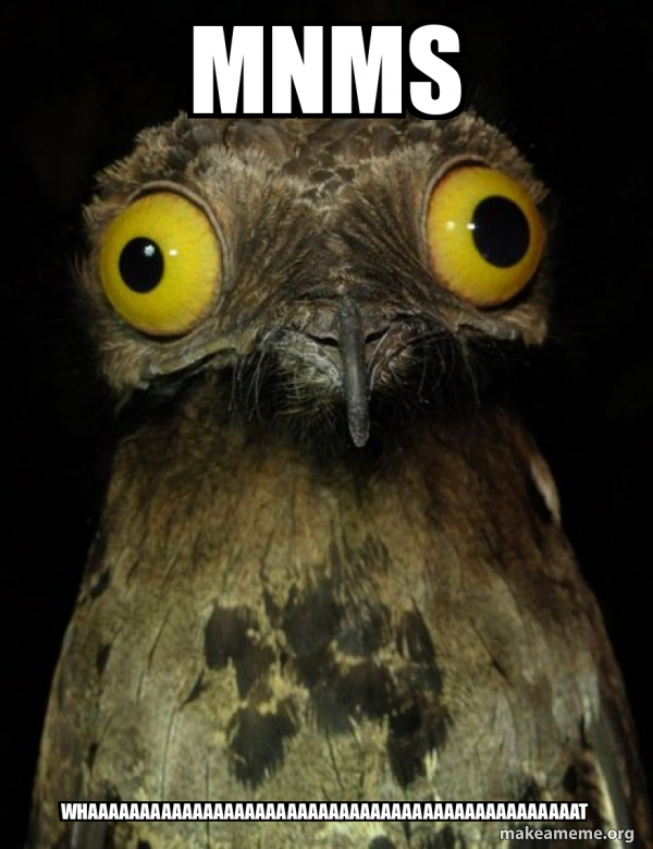 mnms whaaaaaaaaaaaaaaaaaaaaaaaaaaaaaaaaaaaaaaaaaaaaaaat - Weird Stuff I do Potoo Meme Generator