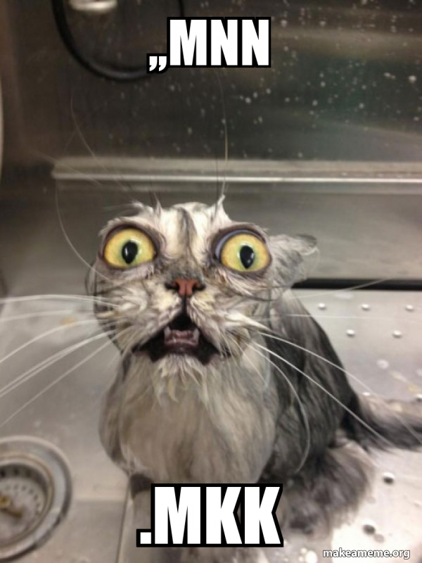 ,,mnn .mkk - Cat bath Meme Generator