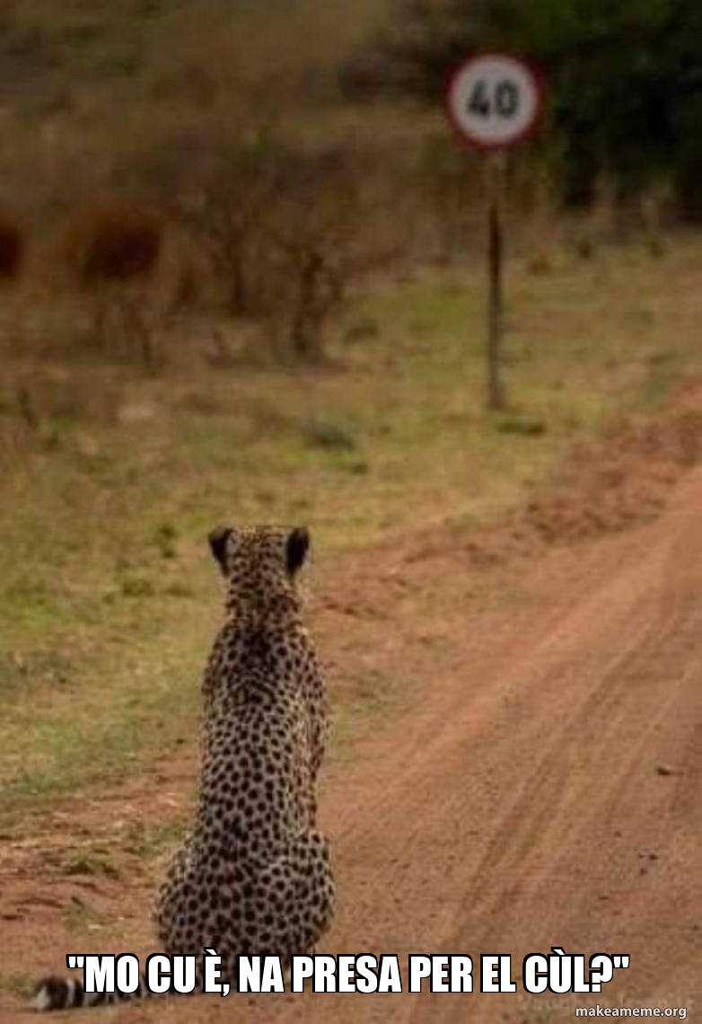 "mo cu è, na presa per el cùl?" Meme Generator