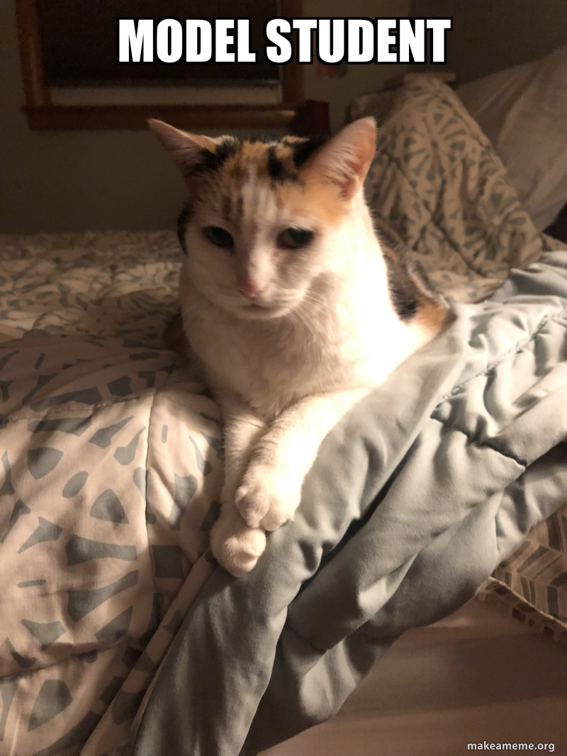 Model student Meme Generator