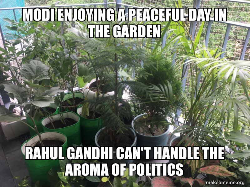 Modi enjoying a peaceful day in the garden Rahul Gandhi can't handle ...
