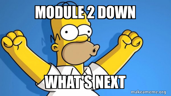 Module 2 down what's next - Happy Homer Meme Generator