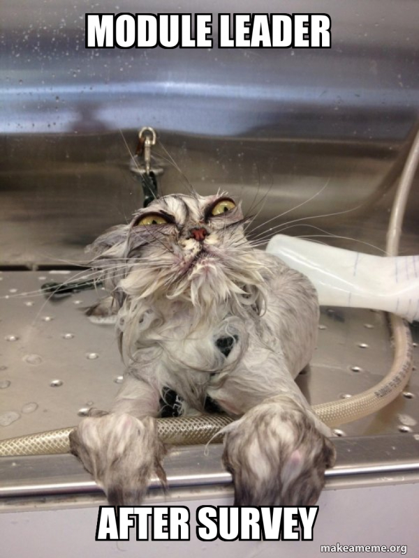 MODULE LEADER AFTER SURVEY - Cat Bath Returns Meme Generator