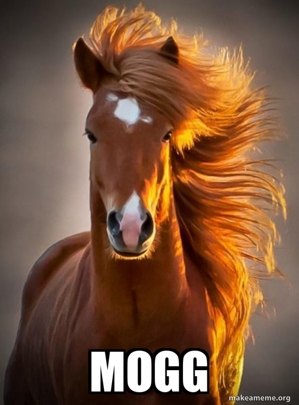 mogg - Ridiculously photogenic horse Meme Generator