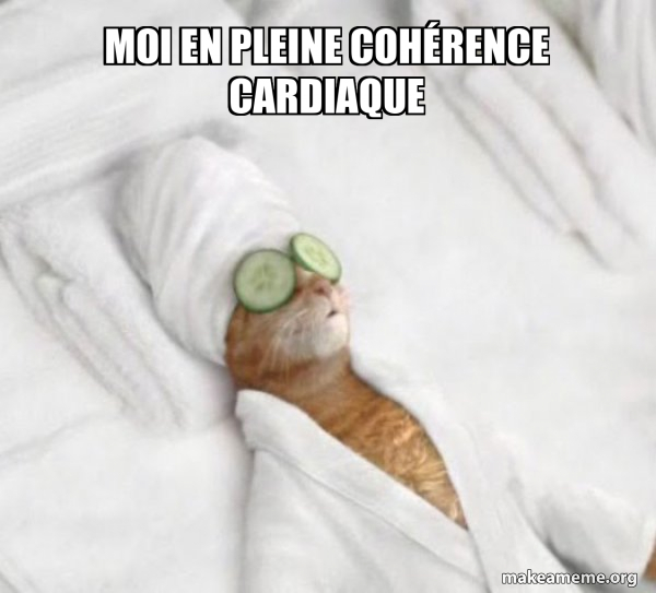 Moi en pleine cohérence cardiaque - Pampered Cat Meme Meme Generator