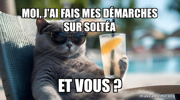 Moi, j'ai fais mes démarches sur soltéa et vous ? Meme Generator