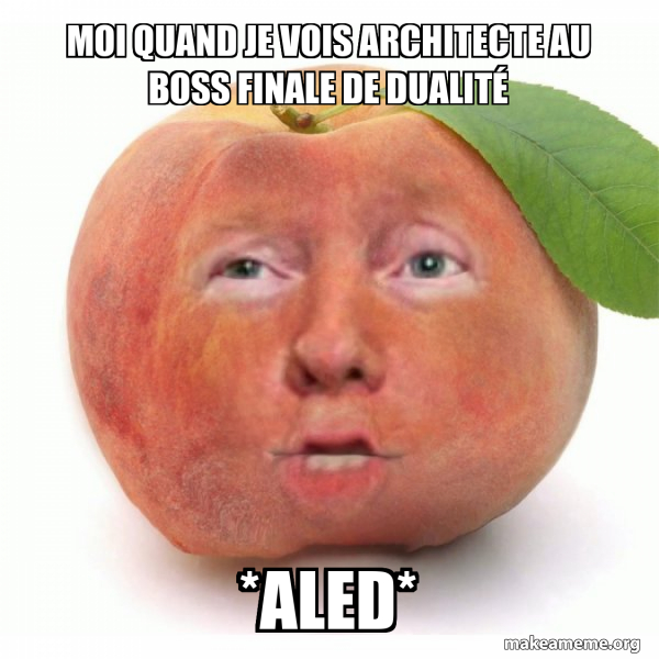 moi quand je vois architecte au boss finale de dualité *Aled ...