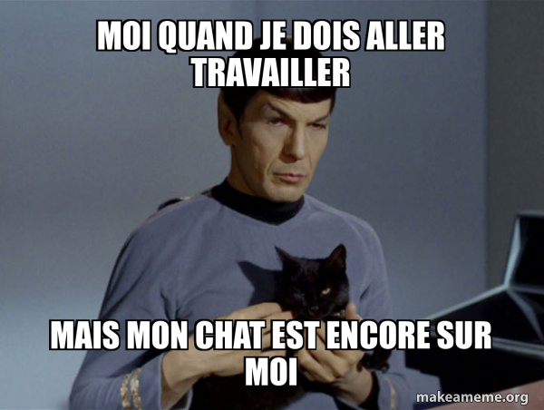 Moi quand je dois aller travailler Mais mon chat est encore sur moi ...