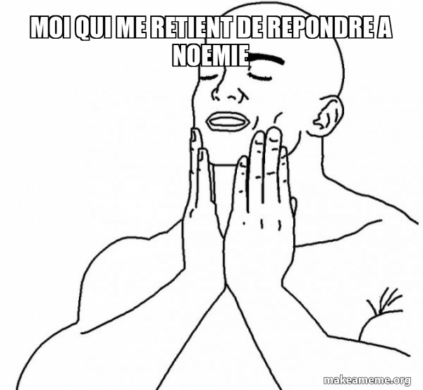 MOI QUI ME RETIENT DE REPONDRE A NOEMIE - Feels Good Meme Generator