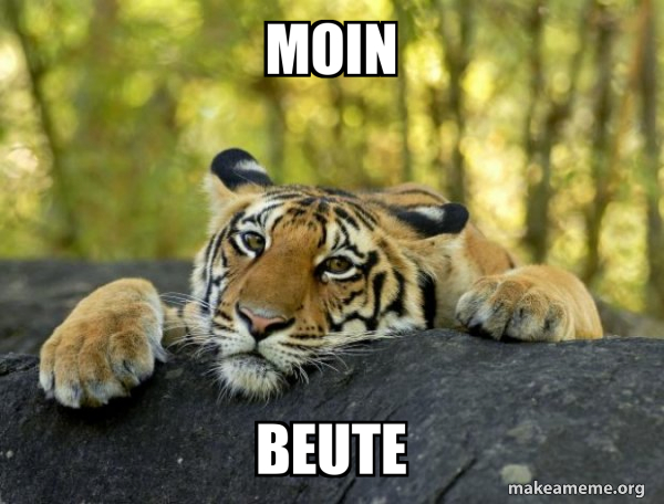 MOIN BEUTE - Confession Tiger Meme Generator