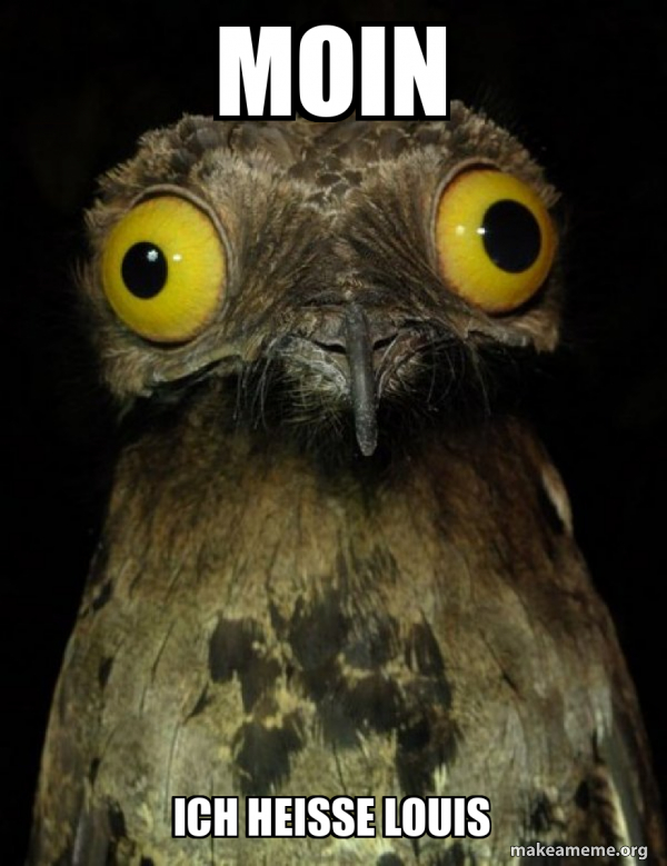 Moin ich heisse Louis - Weird Stuff I do Potoo Meme Generator